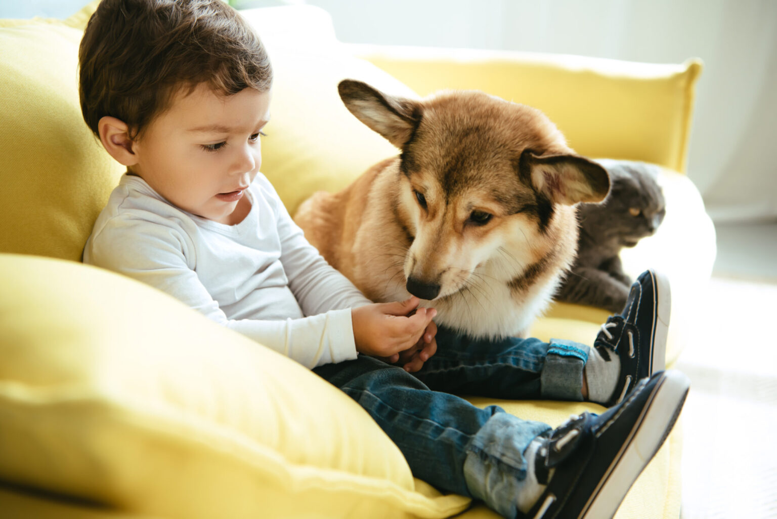 What Are The Benefits Of Pets In Children With Autism?